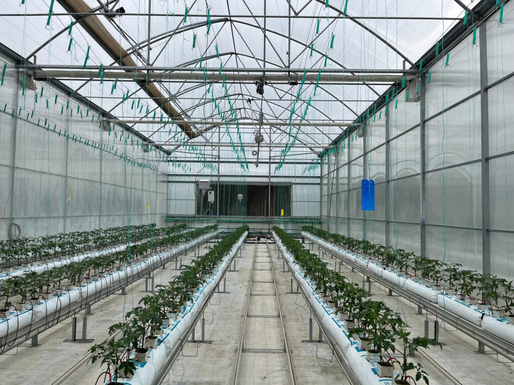 REGACE team visit University of Thessaly's greenhouses to prepare for ...