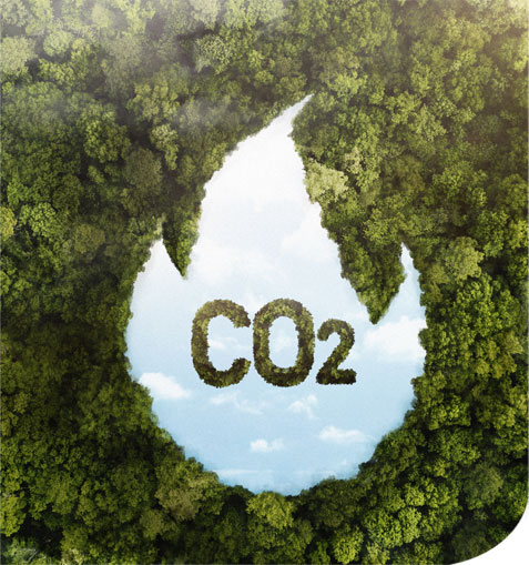 Clean Energy to Generate Electricity in Greenhouses - About - REGACE ...