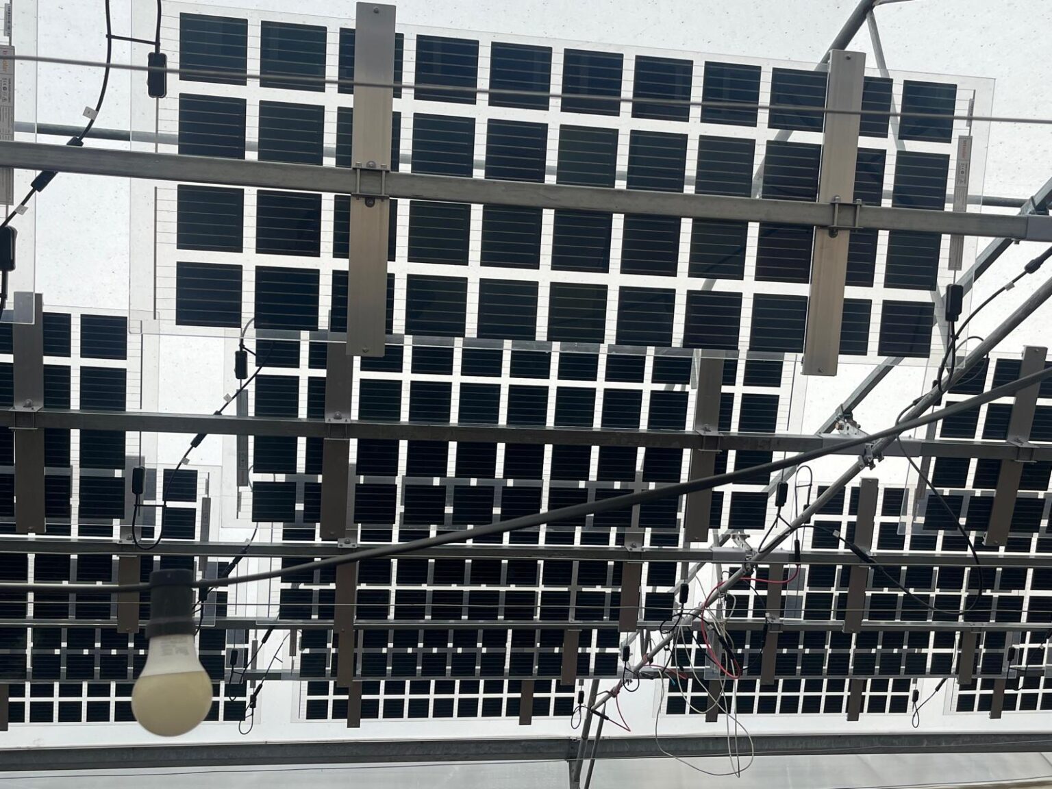 REGACE Completes First European Installation of CO2 Enriched ...