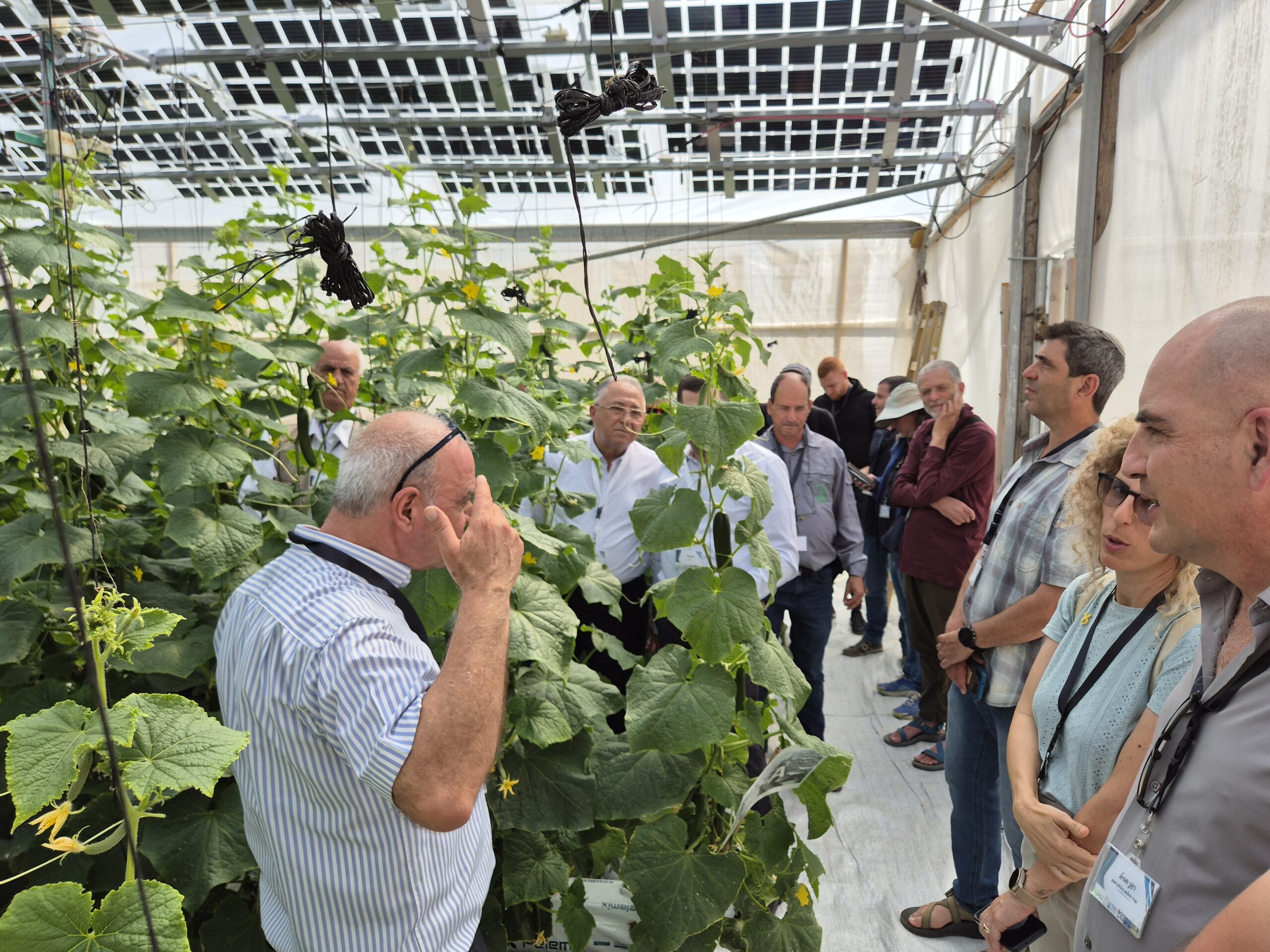 Blog - REGACE Project