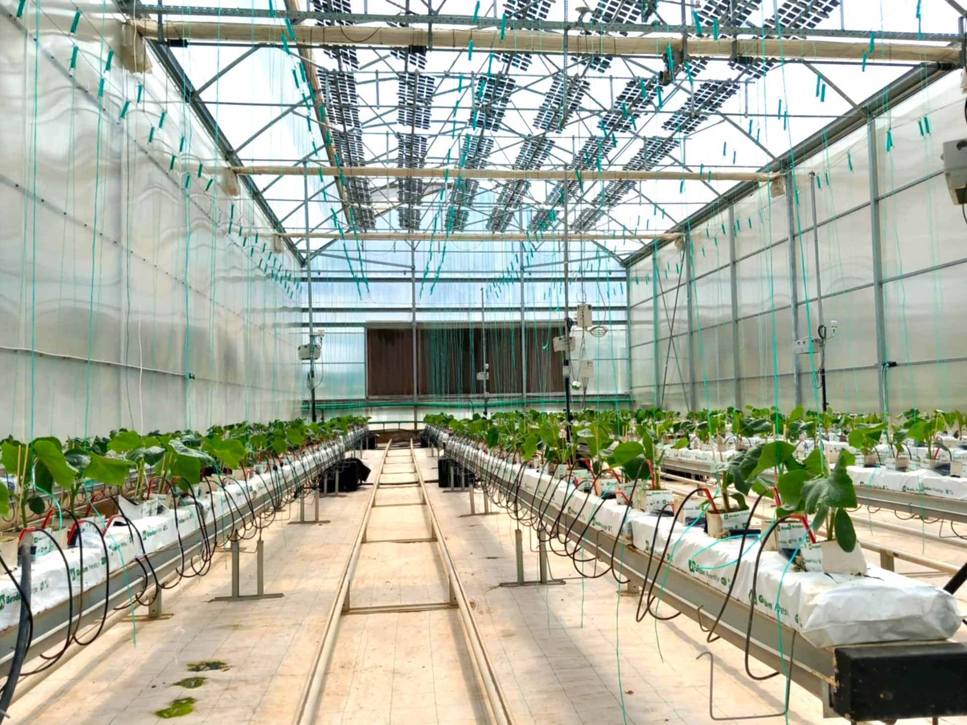 Agrivoltaics Greenhouse Testing Site in Velestino, Greece - REGACE Project